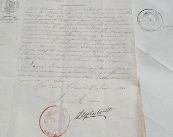 Parchment scroll | Etsy