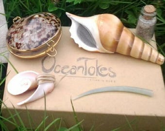 Seashell pipe | Etsy