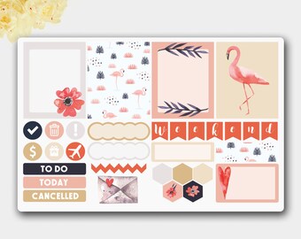 Pink flamingo | Etsy