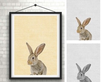 Rabbit photo | Etsy