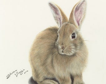 Hase, zeichnung | Etsy