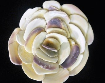 Shell flowers | Etsy