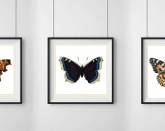 Red butterfly | Etsy