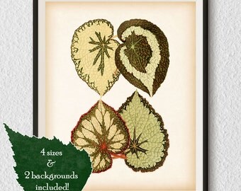 Botanical Print Wall Art Prints Printable Digital Download