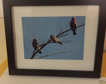 Robin Egg painting original baby bird still life art