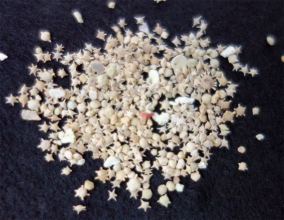 50g Star Sand from Okinawa Japan by JstuffSale on Etsy
