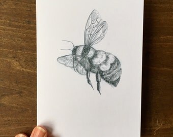 Bee drawing | Etsy