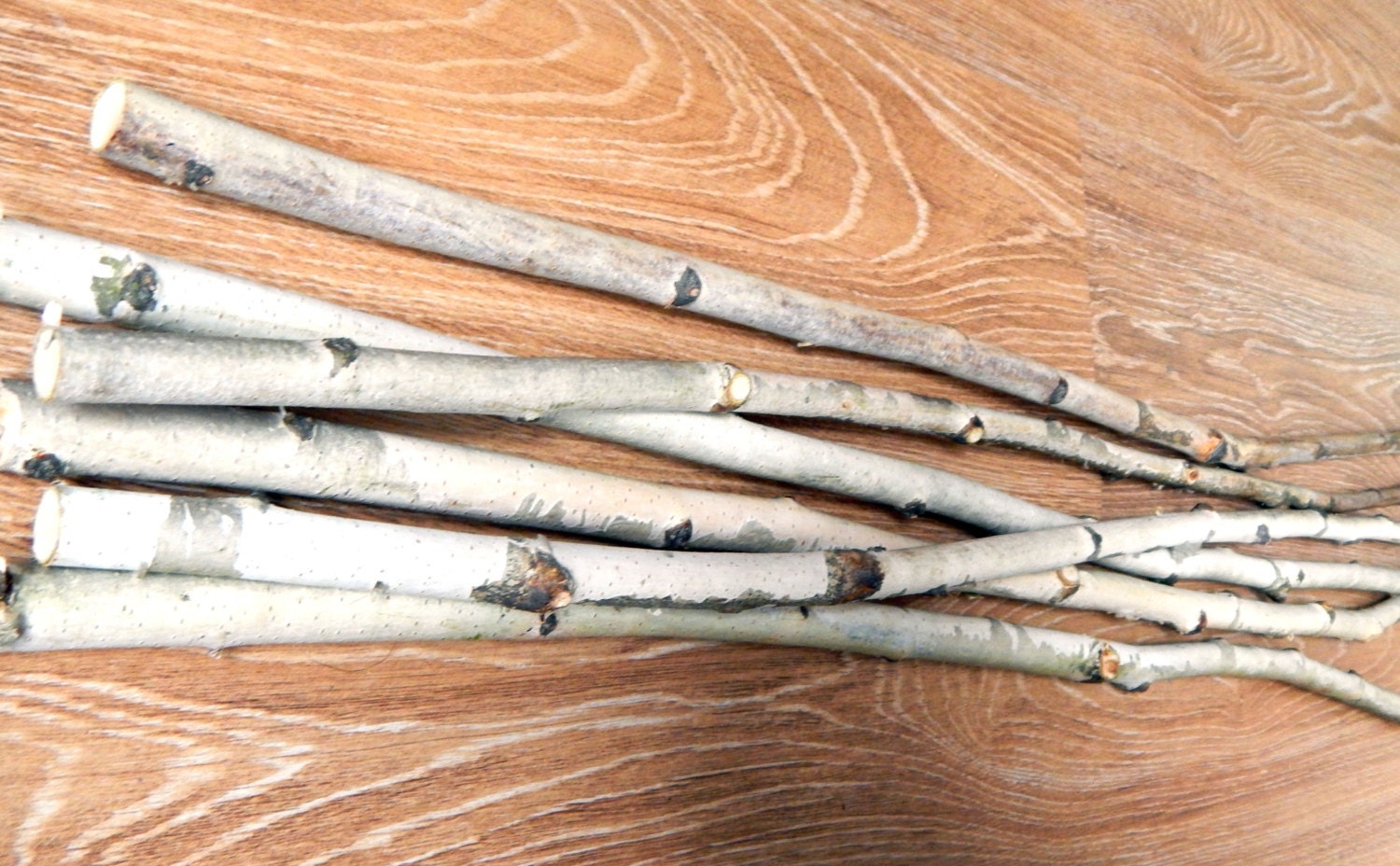 36 Birch Tree Branch 6 pc. Birch Sticks Birch Wood