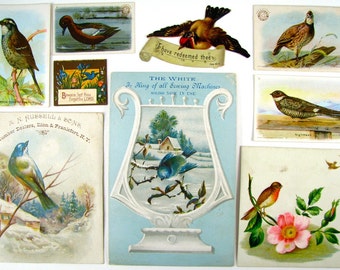 Vintage bird card | Etsy