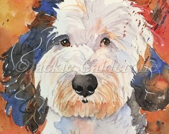 Sheepadoodle | Etsy