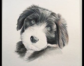 Custom pet drawing | Etsy