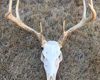 European mount | Etsy