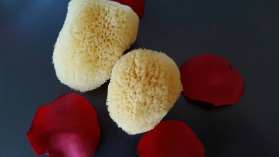 Sea Sponge Tampon 2 Organic Menstrual Sponges Regular Heavy