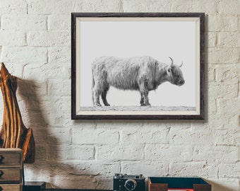 Highland cow print | Etsy