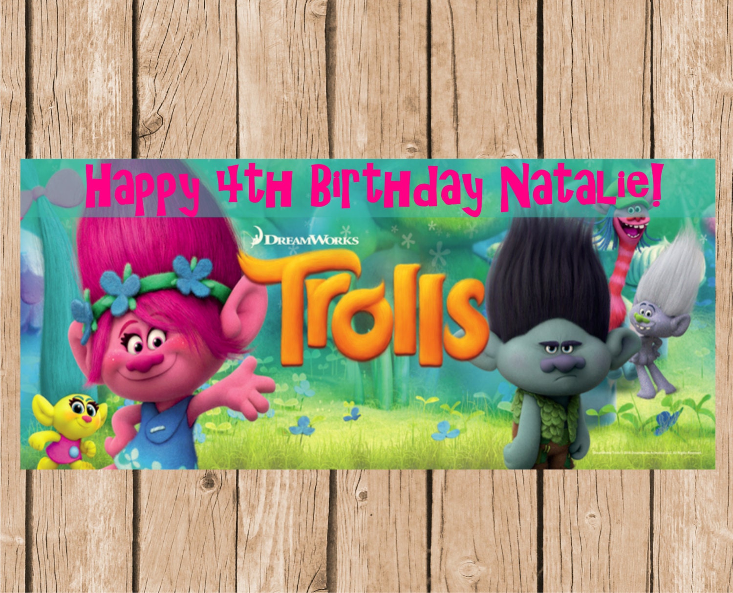 Trolls Birthday Vinyl Banner
