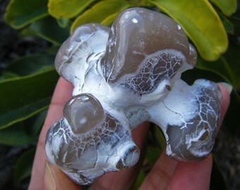 Snakeskin agate | Etsy