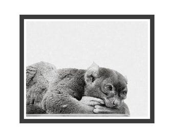 Lemur print | Etsy
