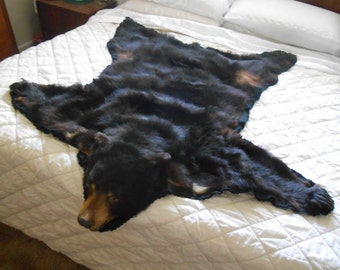 Unique bear skin rugs related items | Etsy