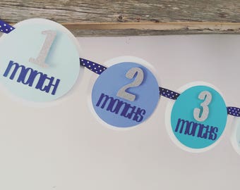 Monthly photo banner | Etsy