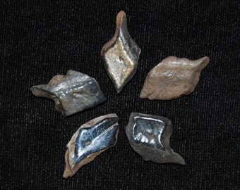 Gar fish scales | Etsy