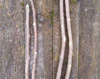 Hazelnut wood | Etsy