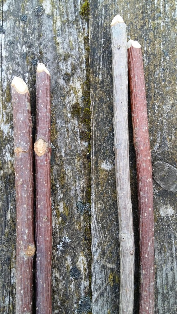 Celtic sacred tree druid wood rowan wand supply natural wooden