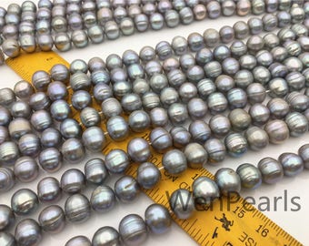 Freshwater Pearltahitianakoyawholesale by WenPearls on Etsy