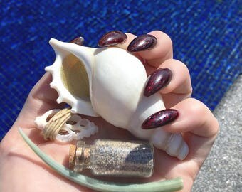 Seashell pipe | Etsy