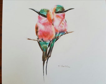 Bee eater bird | Etsy