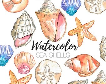 Seashell clip art | Etsy