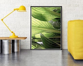 Banana leaf poster | Etsy