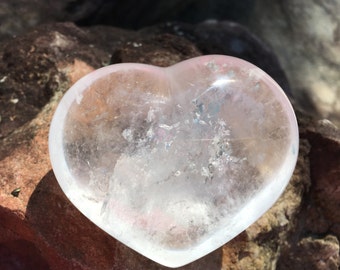 Unique madagascar palm related items | Etsy