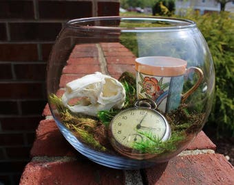 Skull terrarium | Etsy
