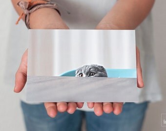 Funny postcards | Etsy