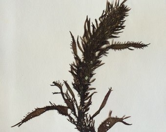 Items similar to Filament Necklace (gold) on Etsy