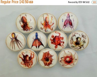 Unique starfish knobs related items | Etsy