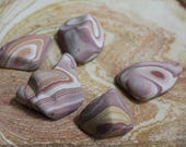 Rock Hound Shop by Rockinon on Etsy