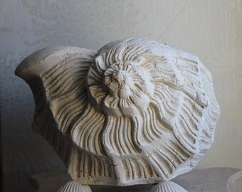 Seashell pottery | Etsy