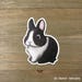 Black Vienna-marked Netherland Dwarf rabbit sticker printed