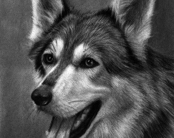 Dog charcoal drawing | Etsy