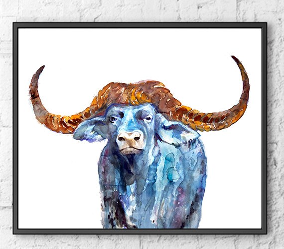 African buffalo painting original watercolors prints