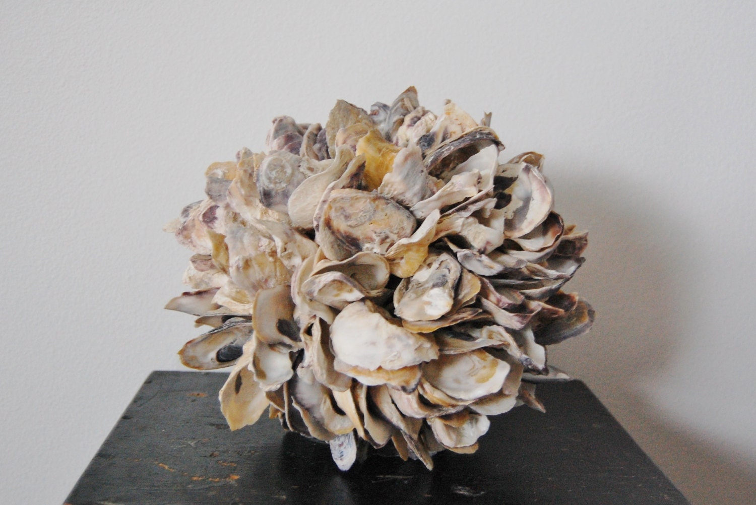 Stunning Oyster Shell Ball 8 to 10 inches Natural from the