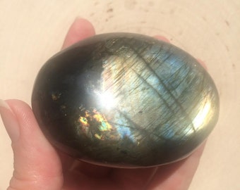 Unique madagascar palm related items | Etsy