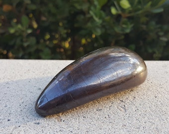 Unique madagascar palm related items | Etsy