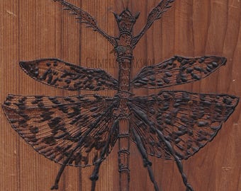 Rustic walking stick | Etsy