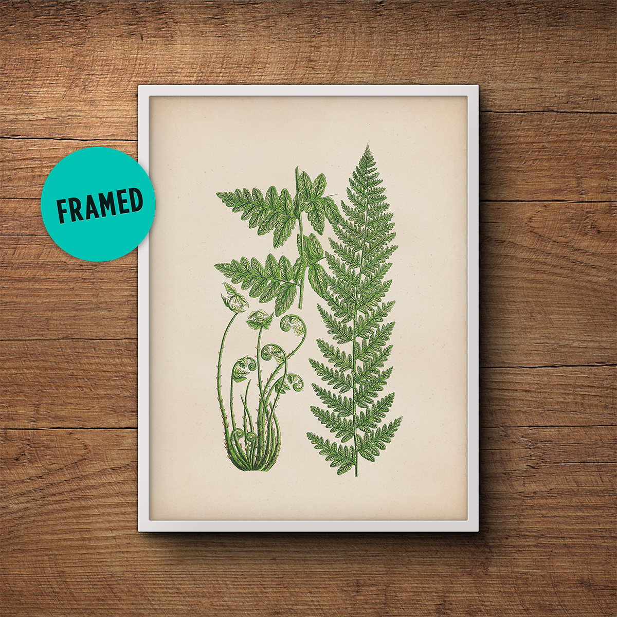 Fern leaf print Framed botanical print Fern wall print