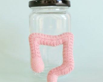 Organs in jars | Etsy