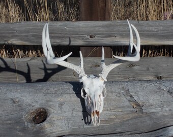 European mount | Etsy