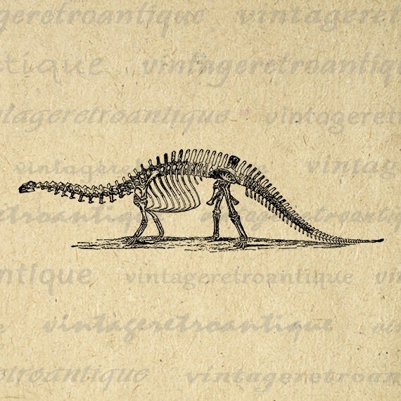 Brontosaurus Dinosaur Skeleton Printable by VintageRetroAntique