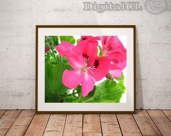 Geranium print | Etsy